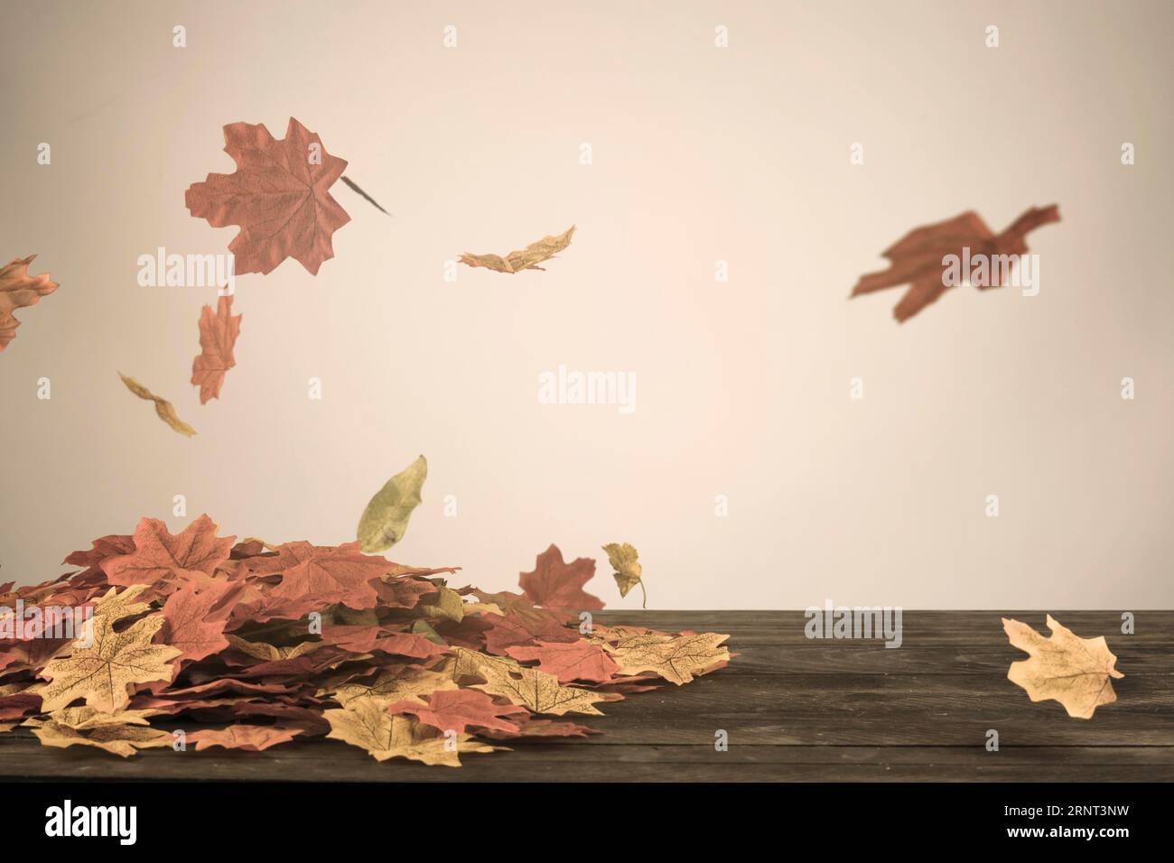 Fall leaves flying wind Stock Photo - Alamy