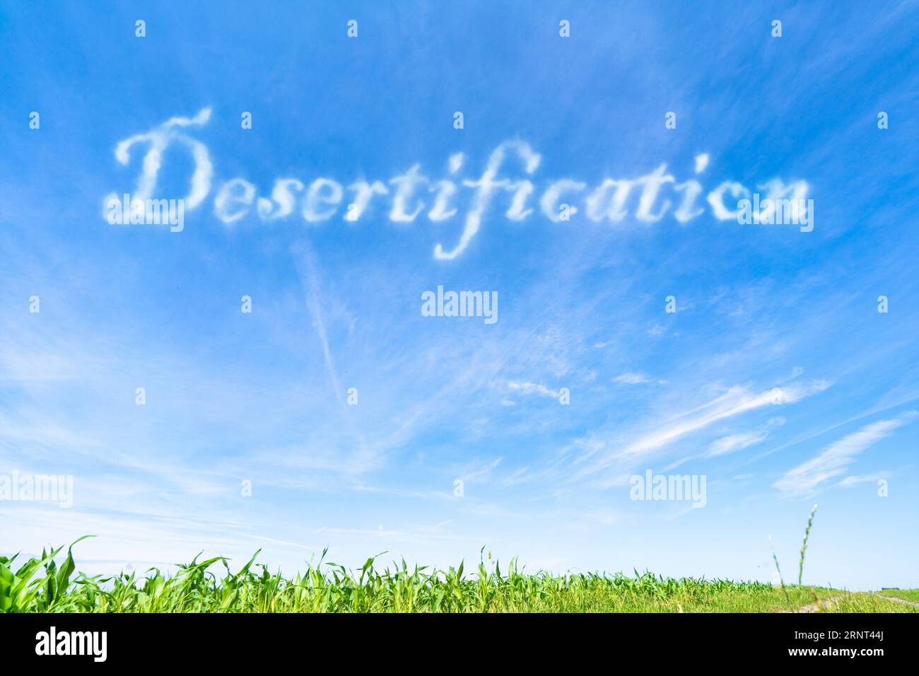 Desertification: The process of turning productive land into desert due ...