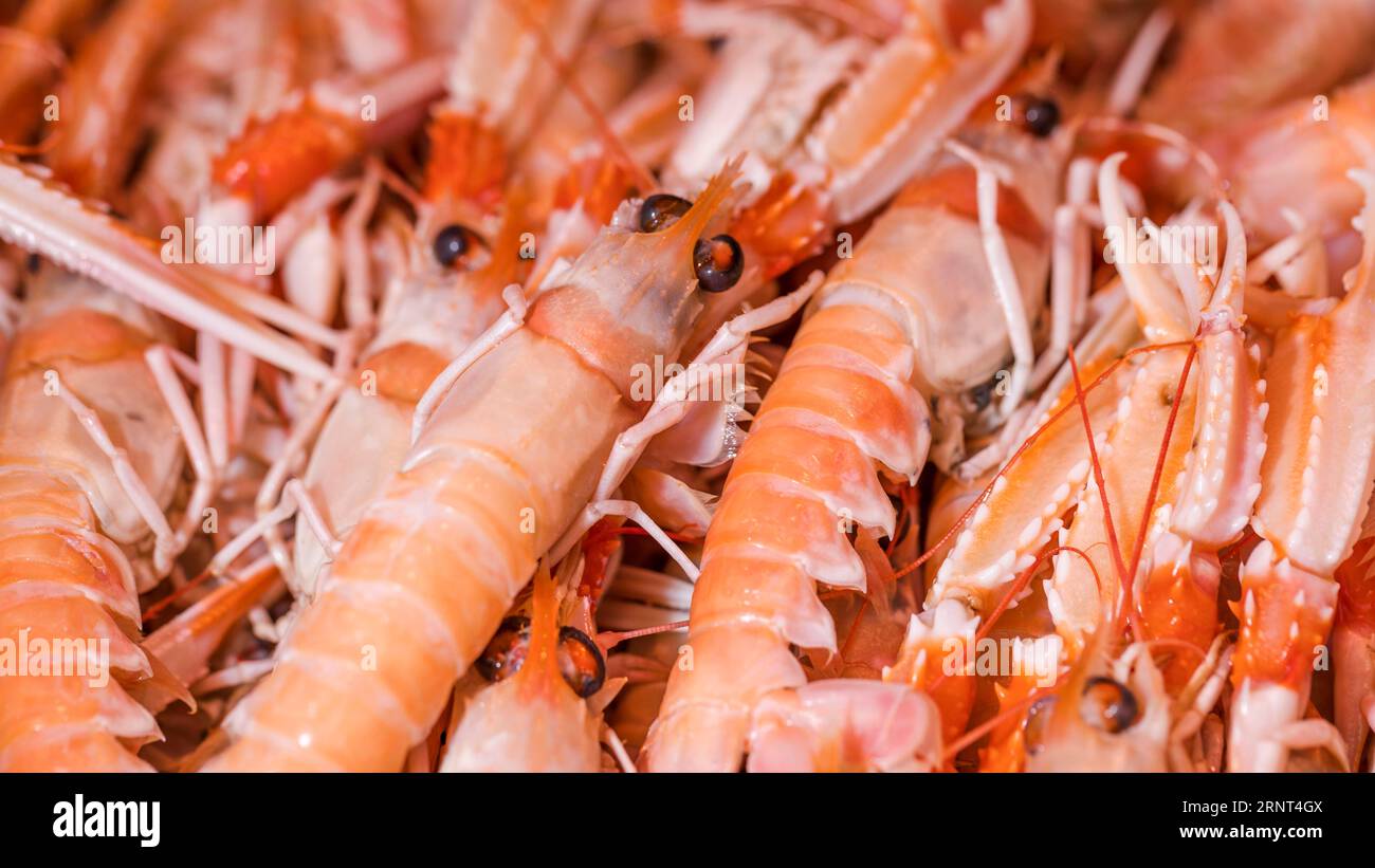 The shrimp shop hi-res stock photography and images - Alamy