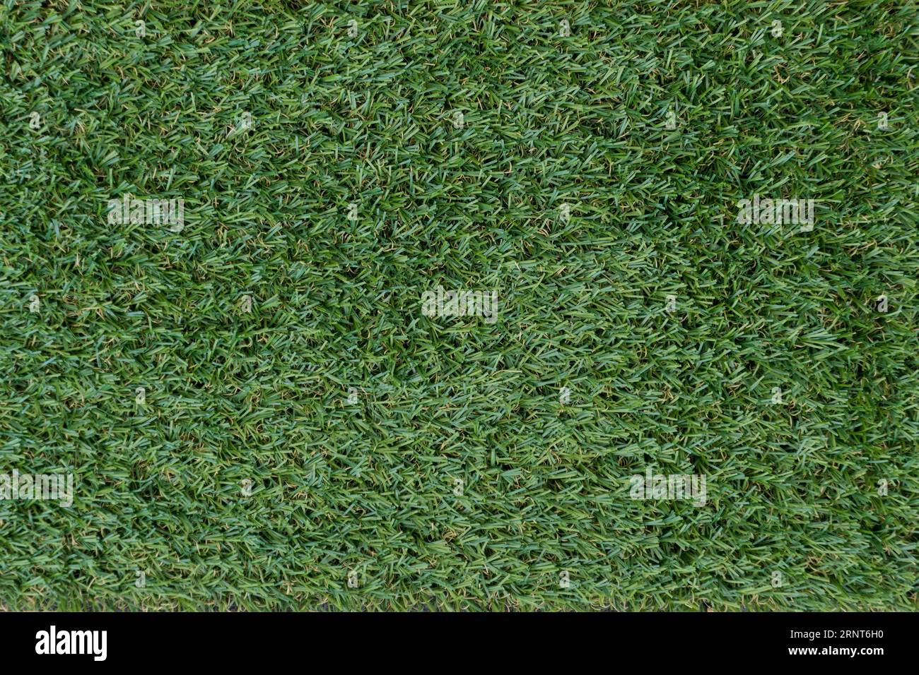 Texture artificial turf Stock Photo - Alamy
