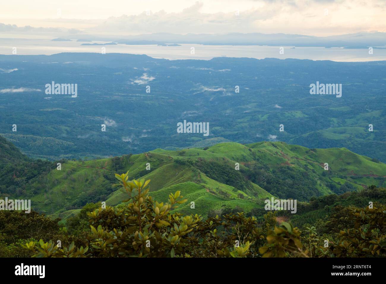 Top view tropical forest rainy weather Stock Photo - Alamy