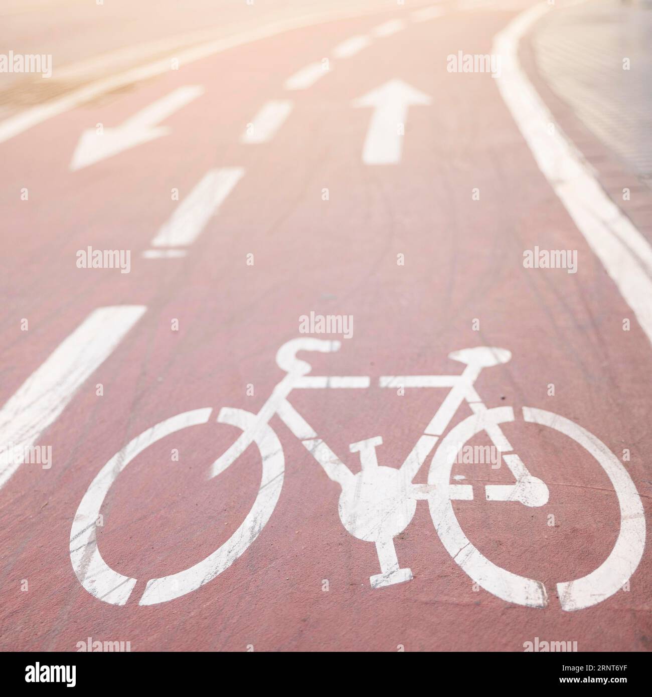 White asphalt bike lane with directional sign Stock Photo - Alamy