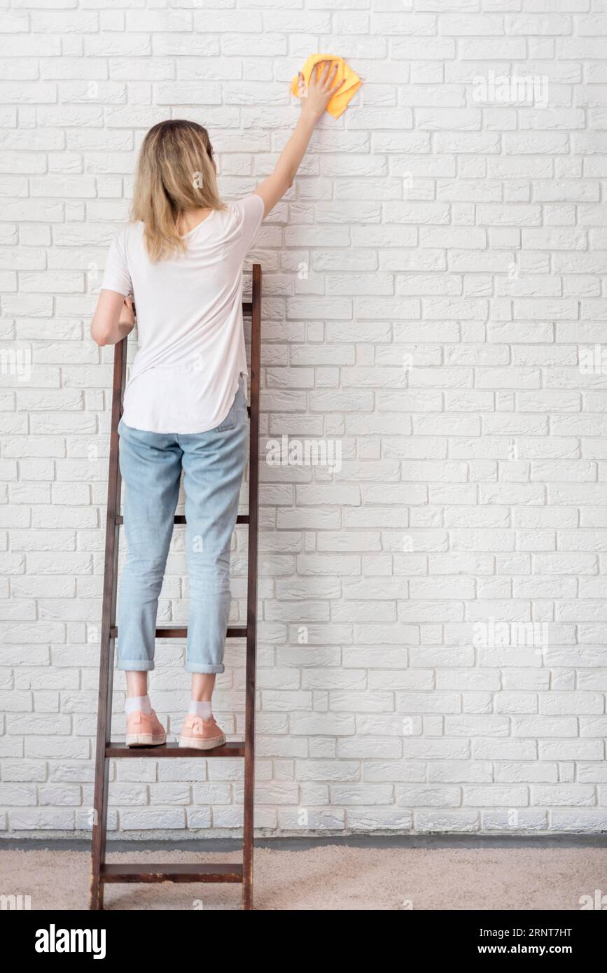 Back view woman cleaning brick wall ladder Stock Photo - Alamy