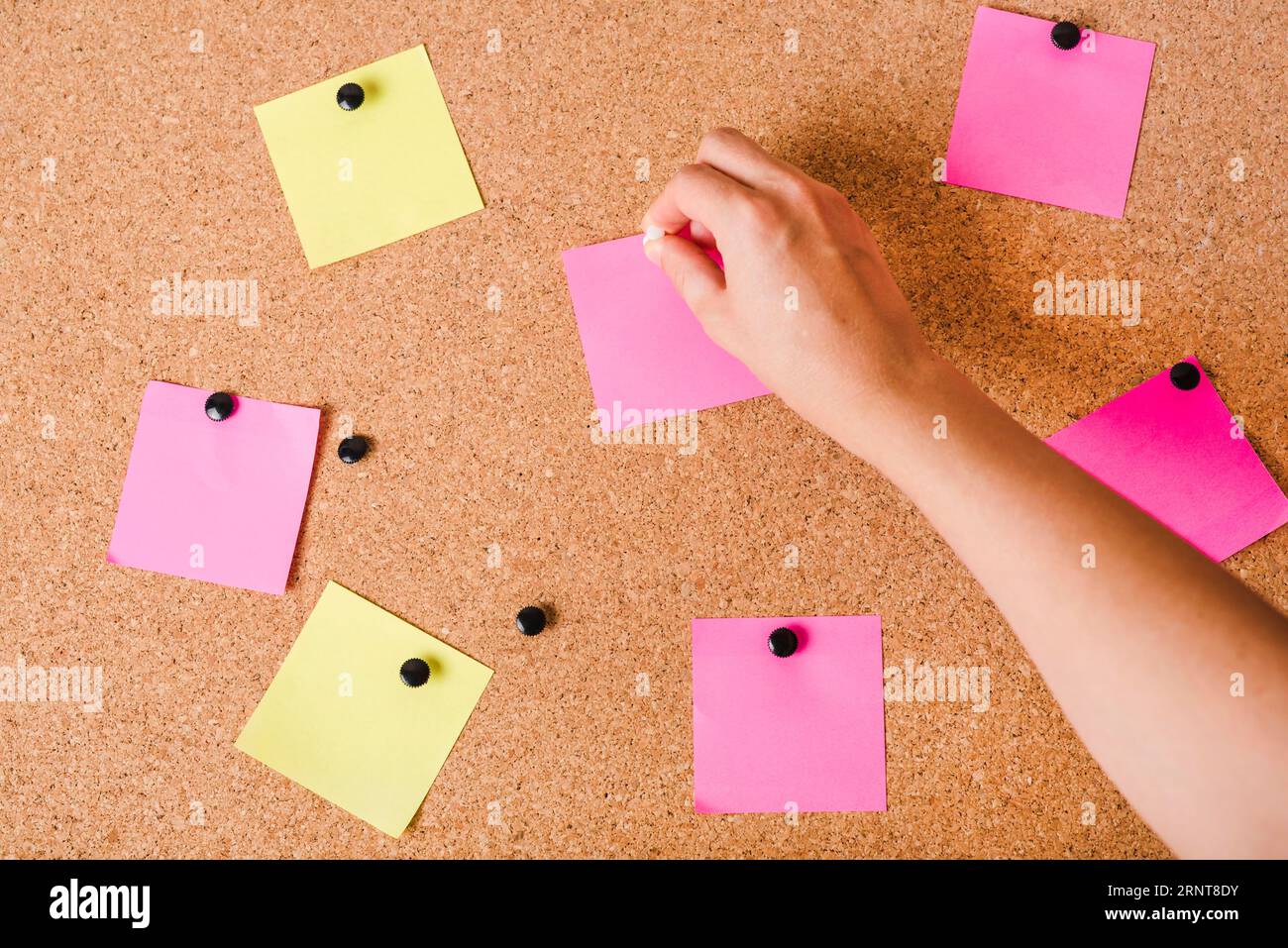 Close up person s hand putting blank notepad cork board with push pin ...