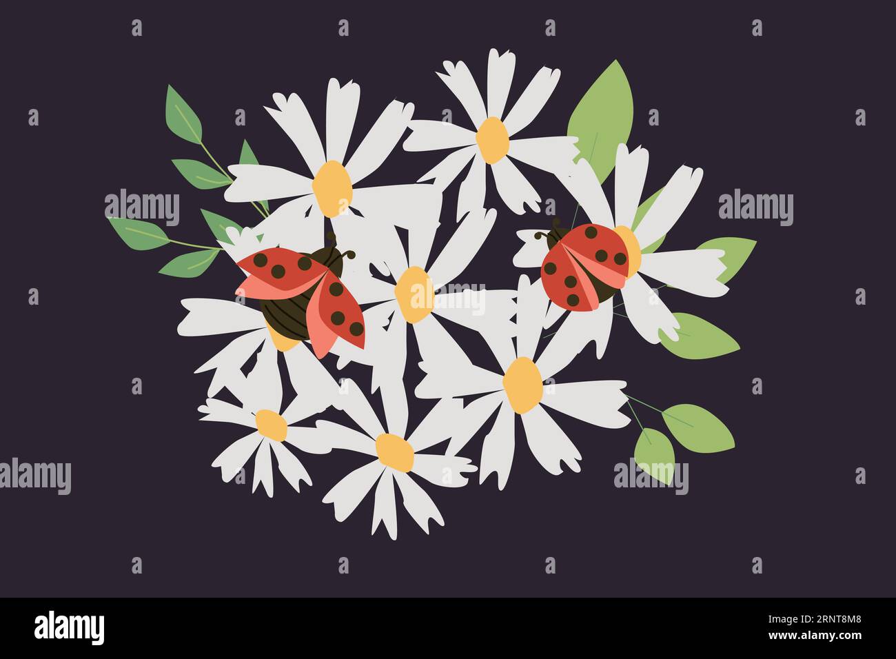 cute bouquet - daisy flower and lady bug on dark Stock Vector Image ...