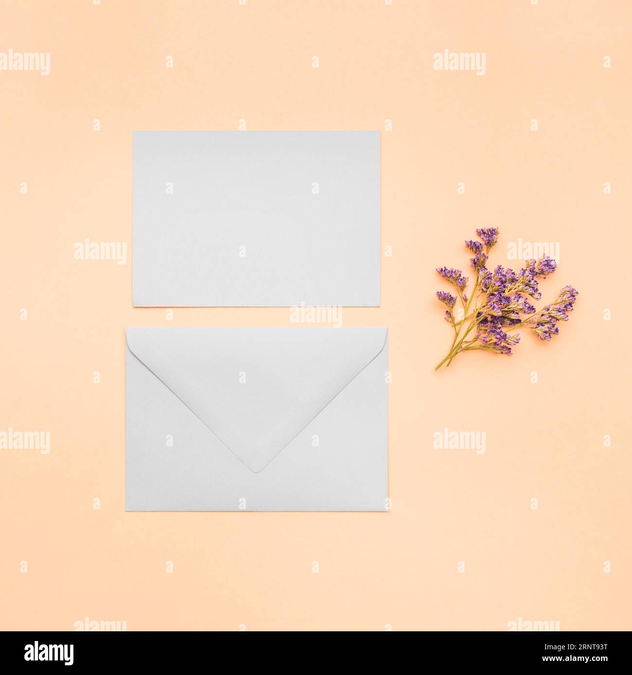 Flat lay blank wedding invitation Stock Photo - Alamy