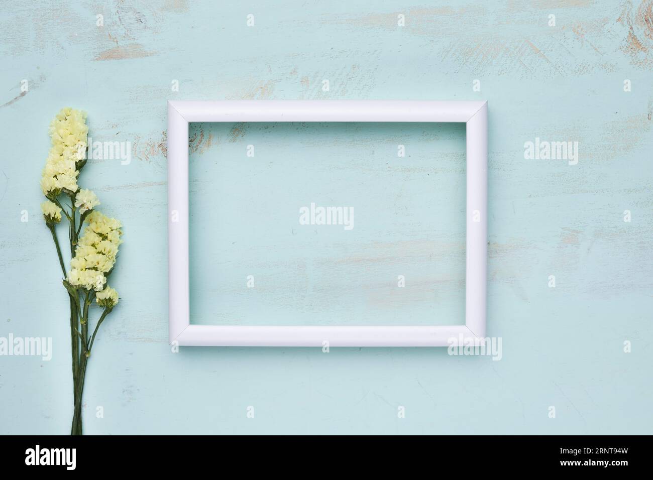 Flat lay frame with floral concept Stock Photo - Alamy