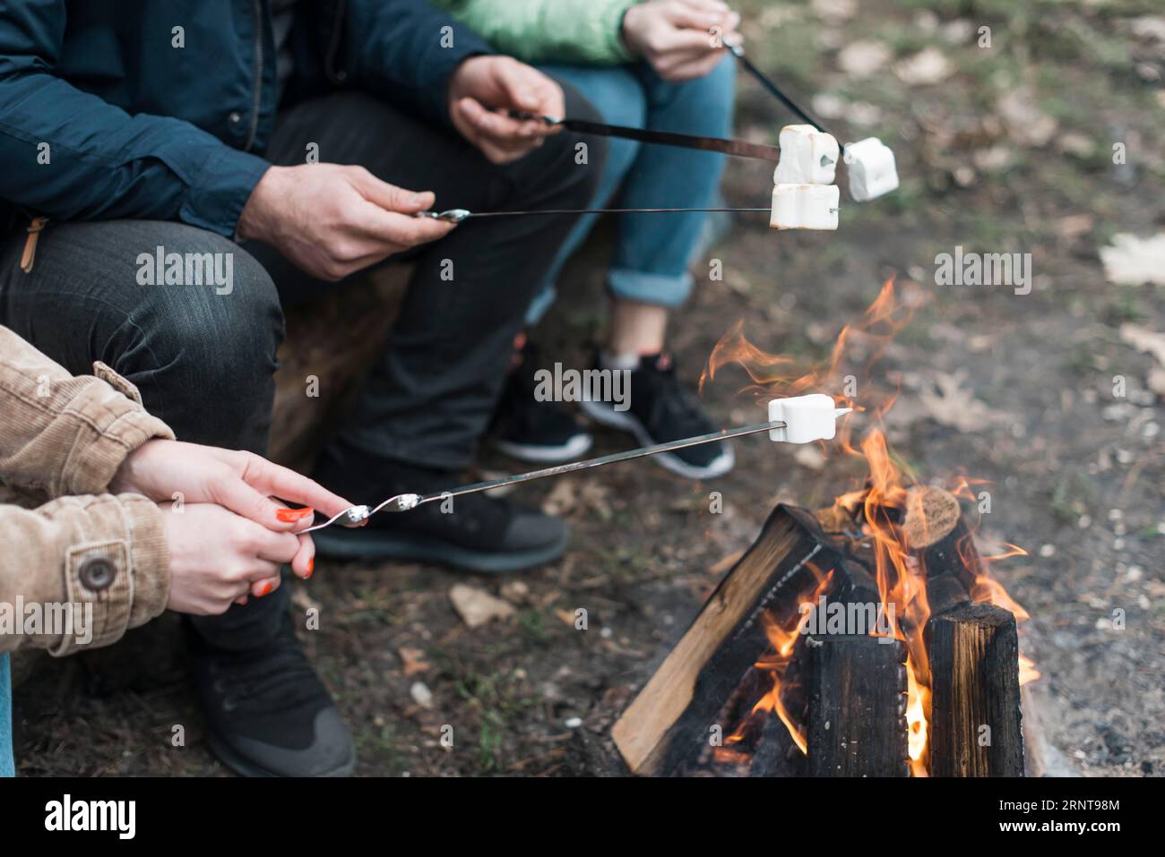 Friends cooking marshmallow bonfire Stock Photo - Alamy