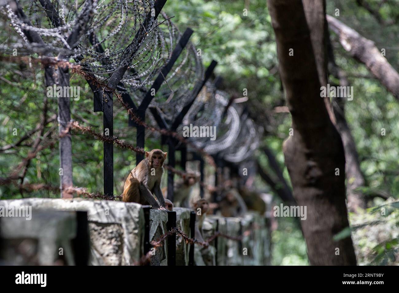 Sardar patel hi-res stock photography and images - Alamy