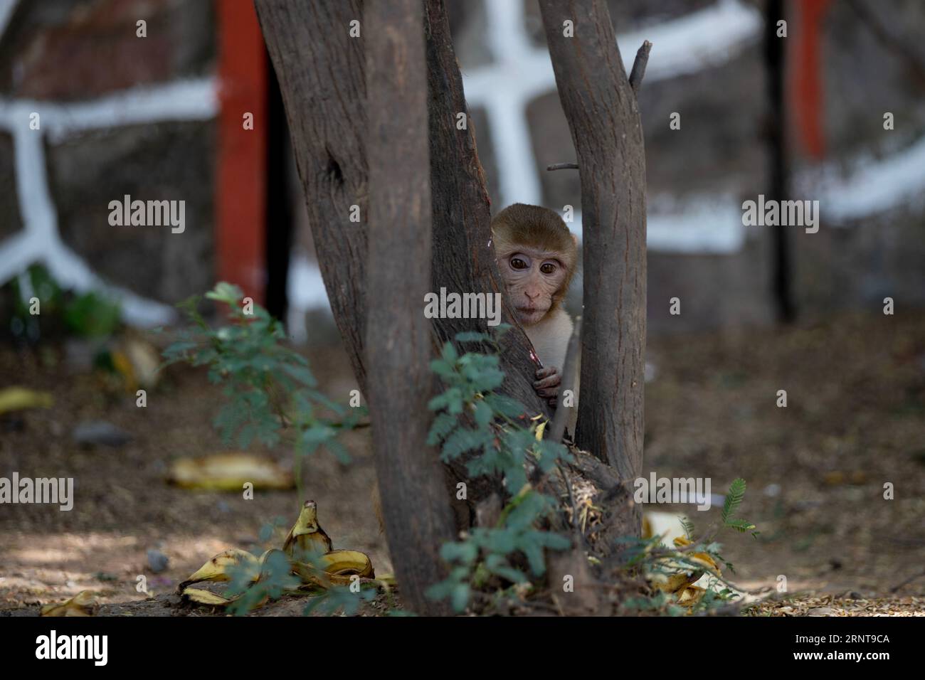 Sardar patel marg hi-res stock photography and images - Alamy