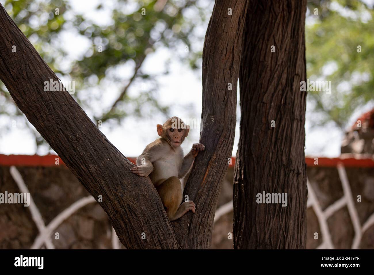 Sardar patel hi-res stock photography and images - Alamy
