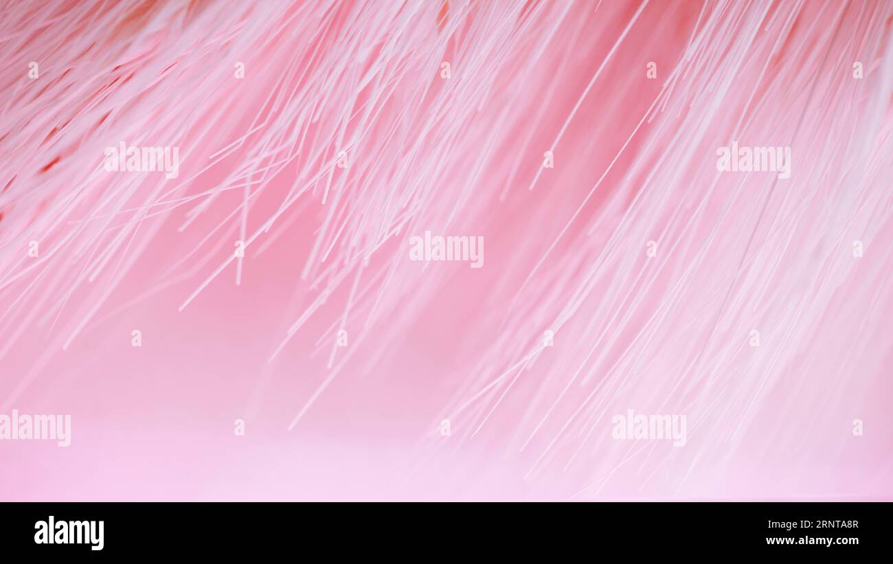 Synthetic fibers factory hi-res stock photography and images - Alamy