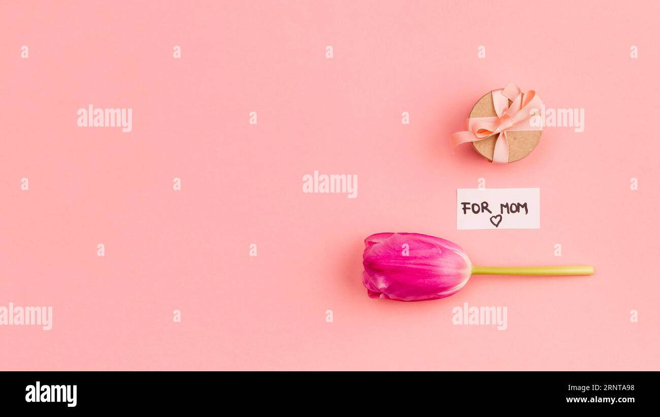 Paper flower plant hi-res stock photography and images - Alamy