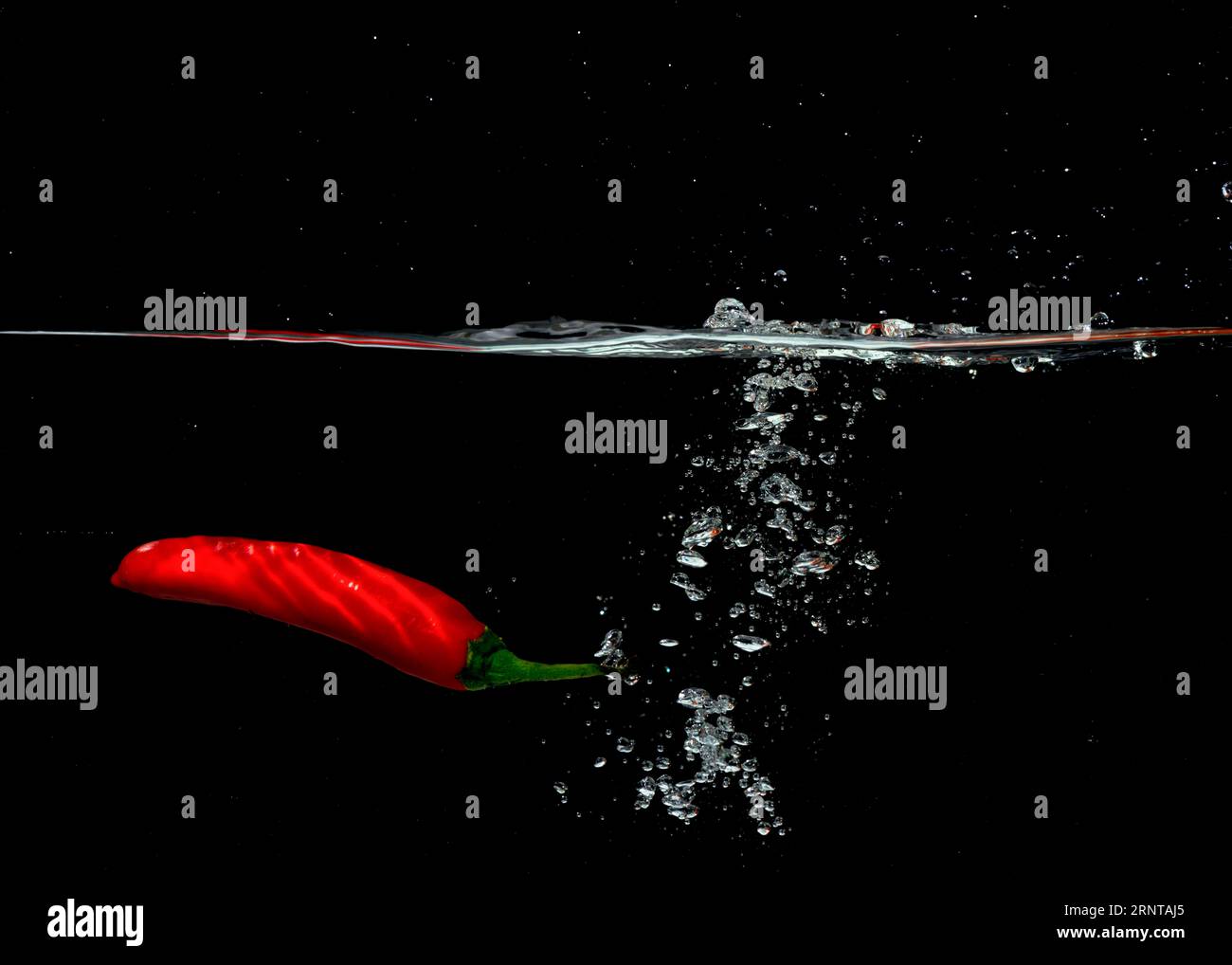 Red chili falling with bubbles into water against black background ...