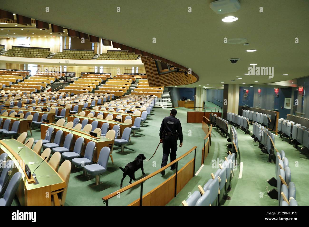 Un general assembly hall 2017 hi-res stock photography and images - Alamy