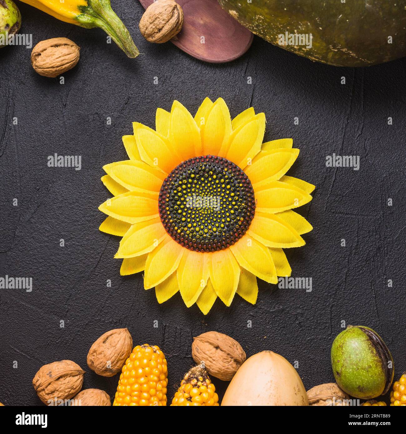 Creative sunflower hi-res stock photography and images - Alamy