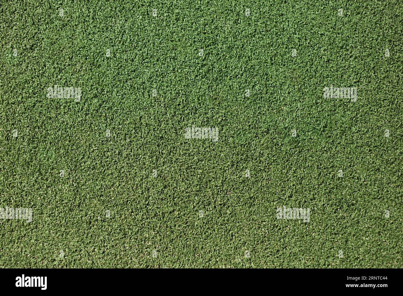 Artificial green grass close up Stock Photo - Alamy
