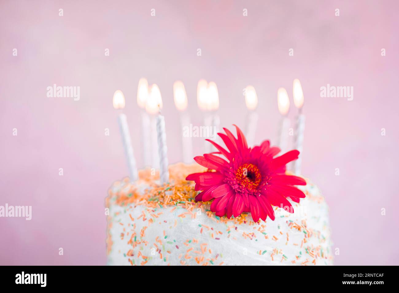 Birthday cake front watercolor background Stock Photo - Alamy