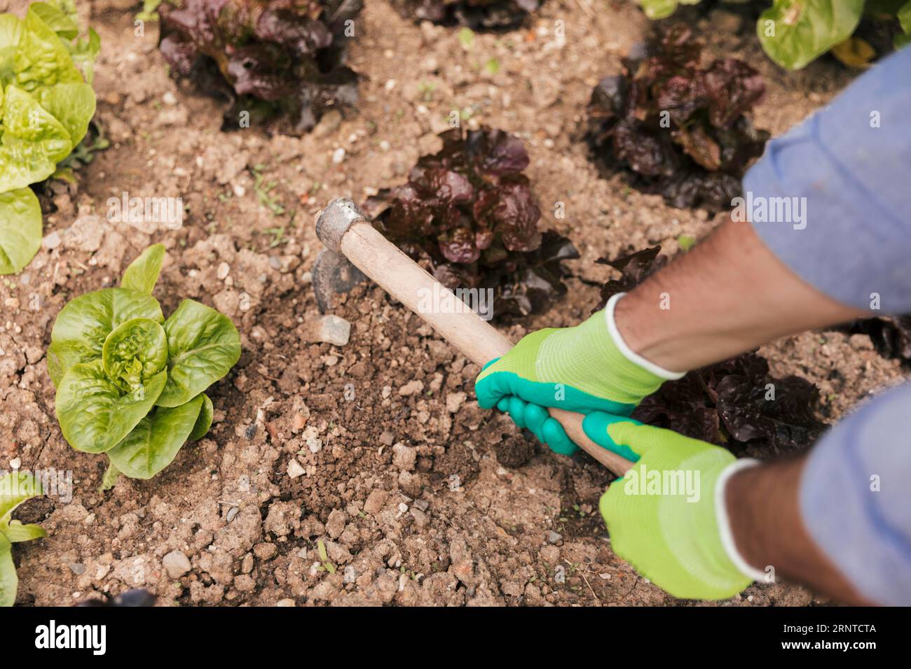 Hand digging hi-res stock photography and images - Alamy