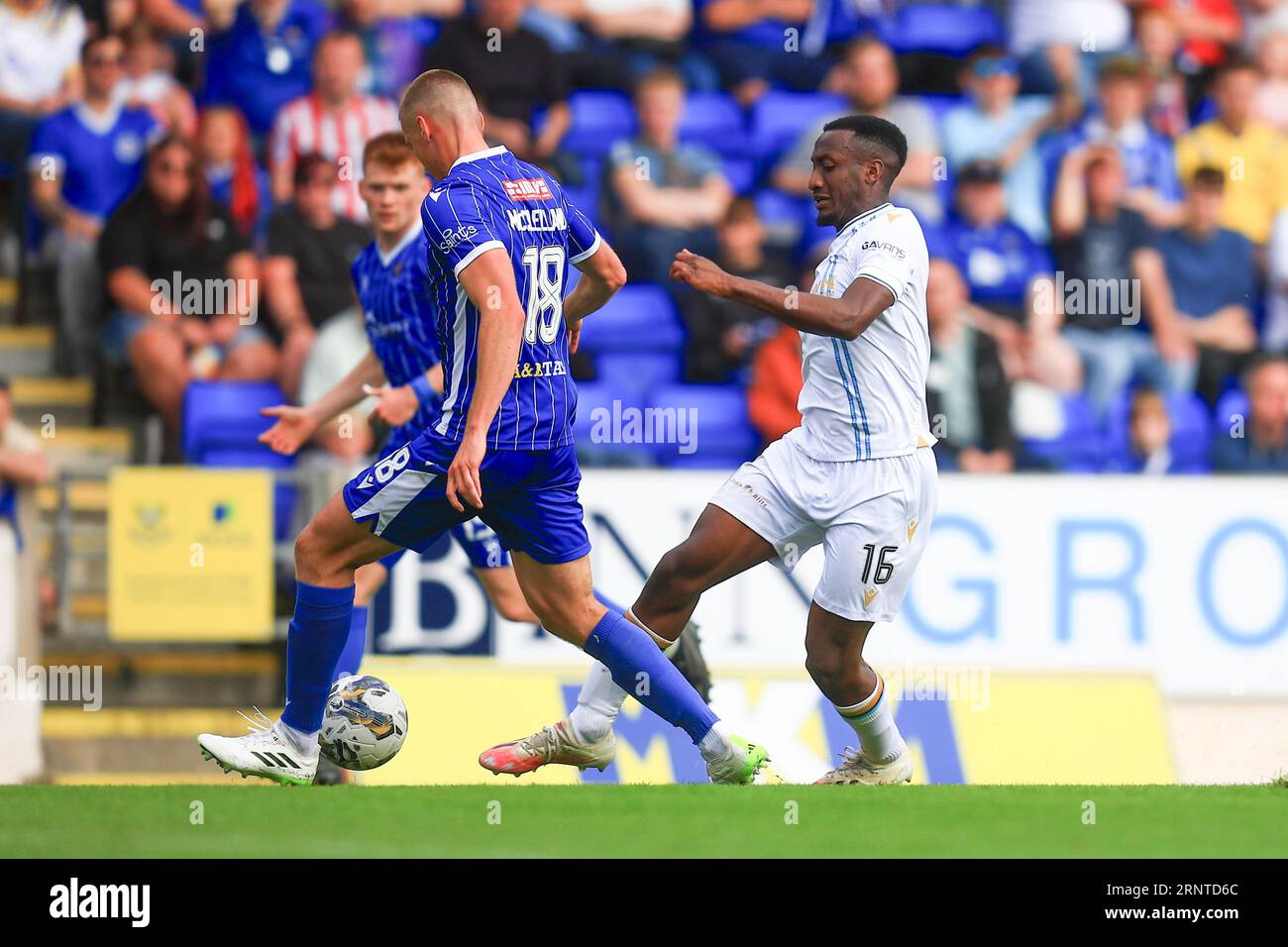 Sam mcclelland 2023 hi-res stock photography and images - Alamy