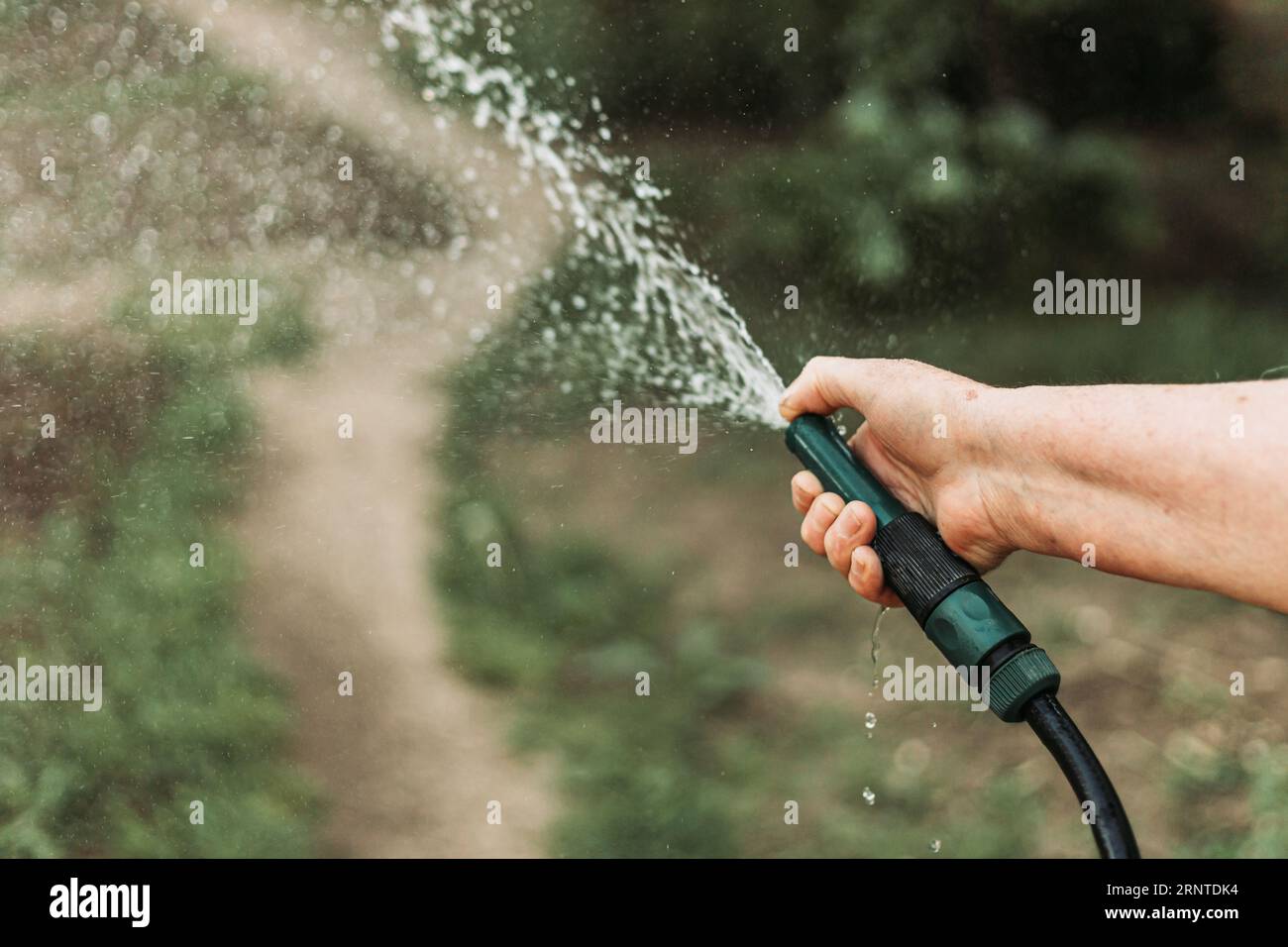 Hand holding water splash hi-res stock photography and images - Alamy
