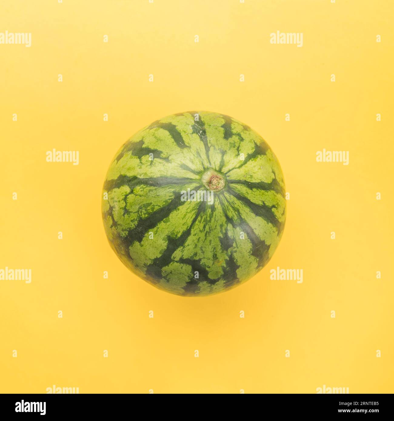 Striped green watermelon hi-res stock photography and images - Alamy