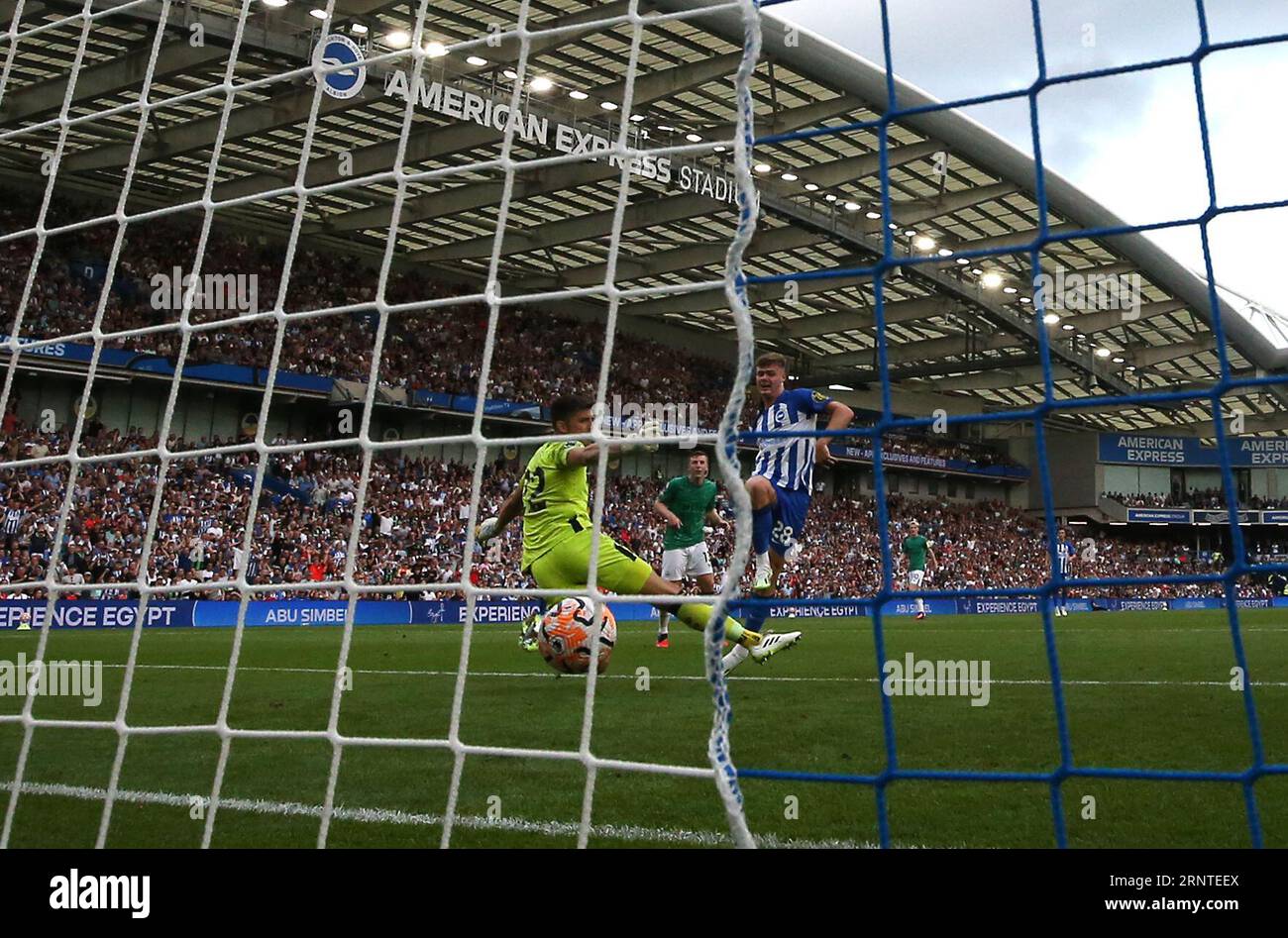 Brighton and Hove Albion's Evan Ferguson scores their side's first goal ...