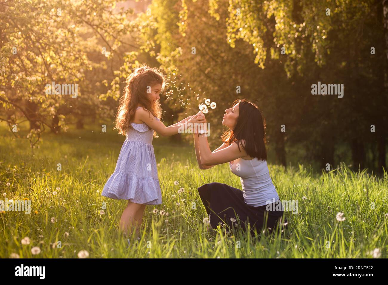 Mother daughter blowing dandelion flower park Stock Photo - Alamy