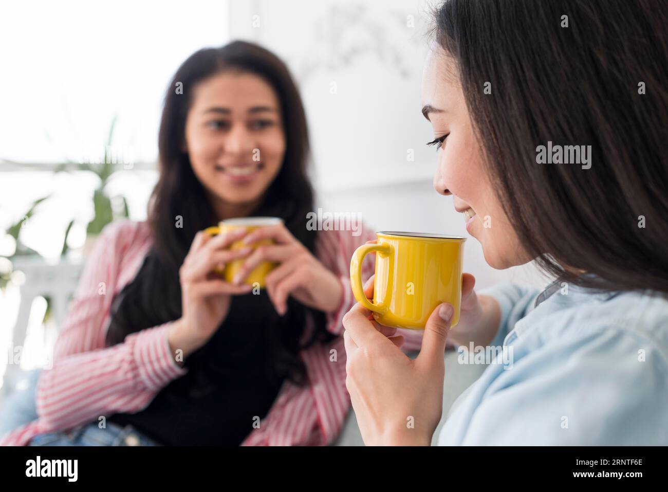 Girlfriends talking hi-res stock photography and images - Alamy