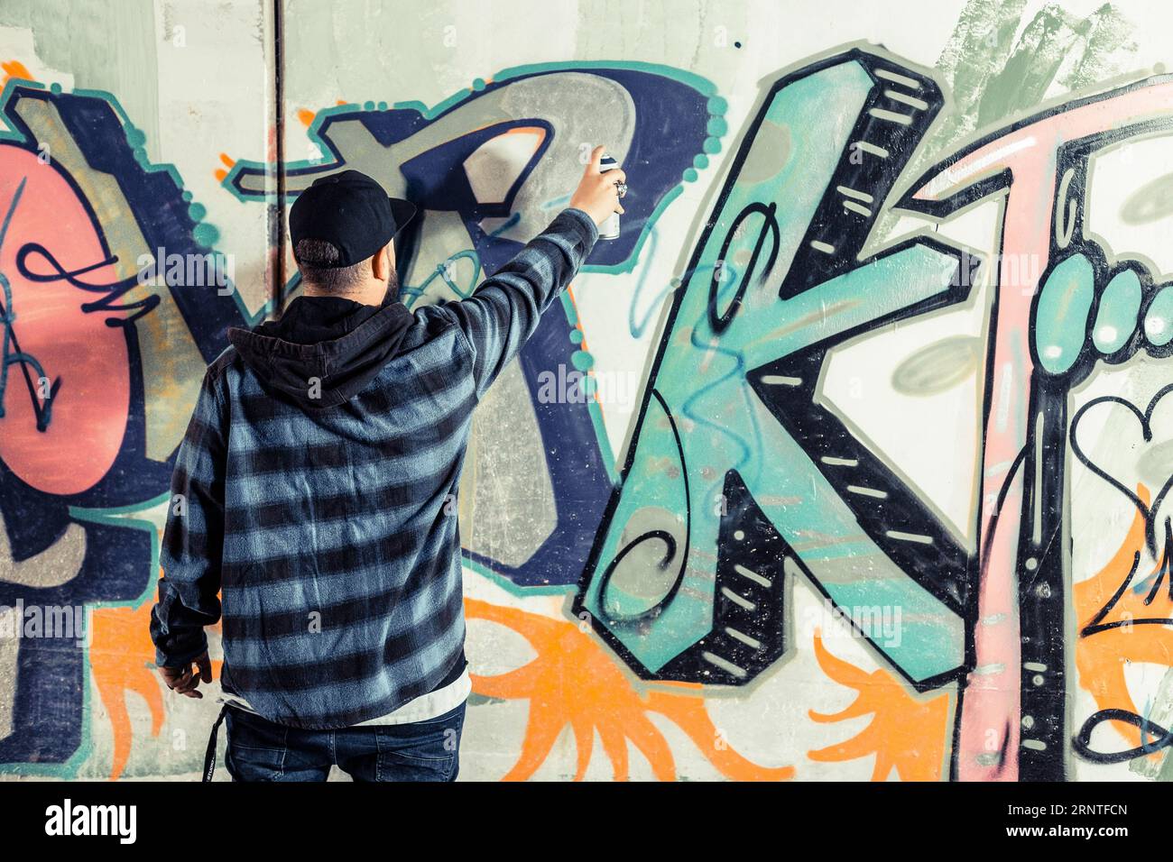 Robin Williams Stencil Grafitti