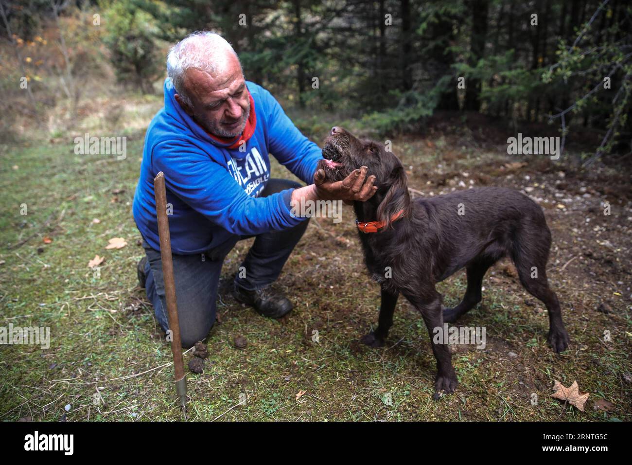 Blanas hi-res stock photography and images - Alamy