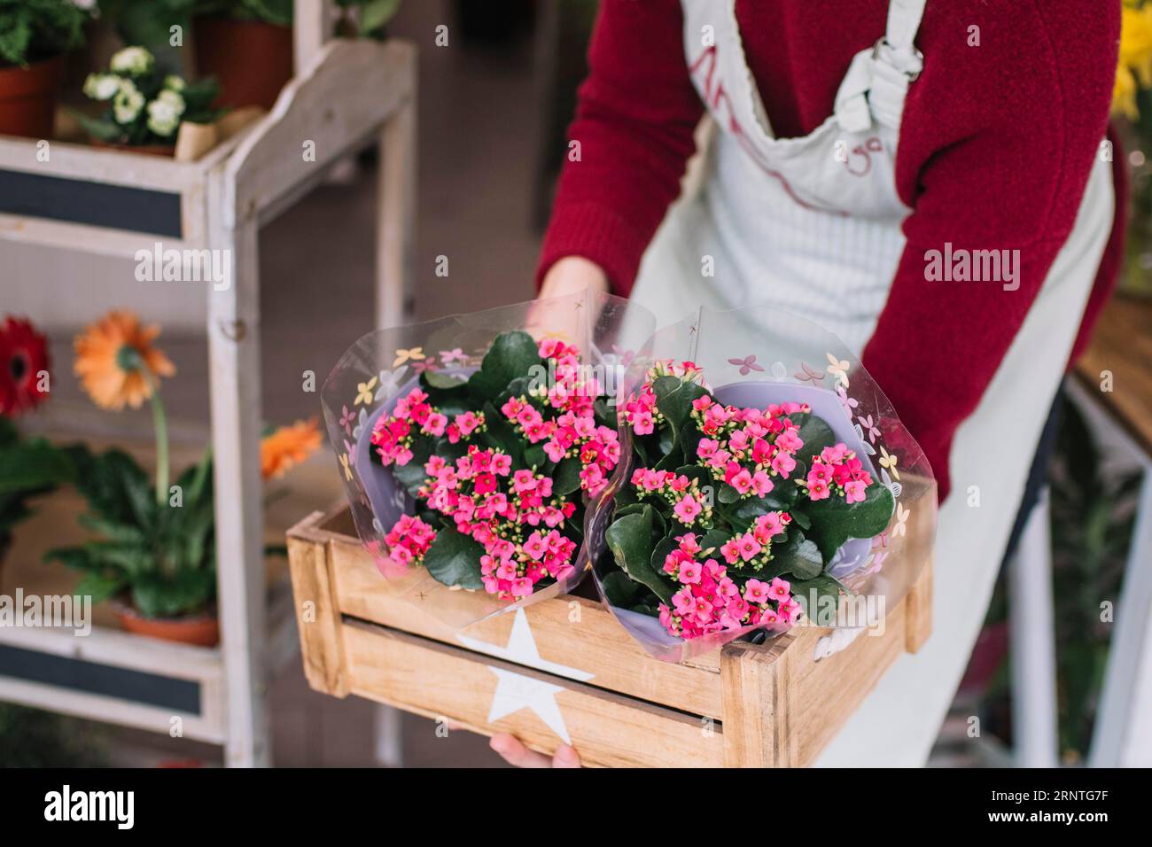Florist holding box flowers hi-res stock photography and images - Alamy