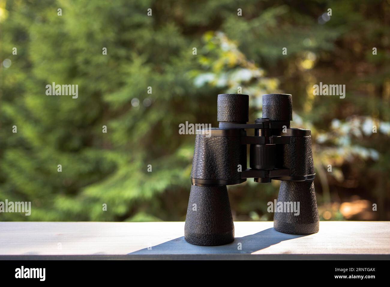 Front view nature binocular Stock Photo - Alamy