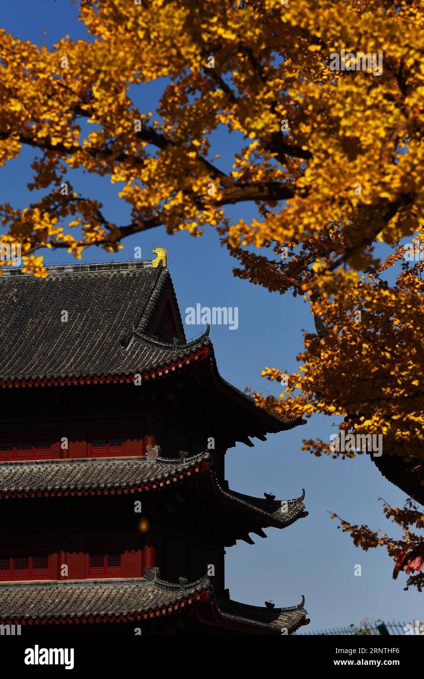 Taiping temple hi-res stock photography and images - Alamy