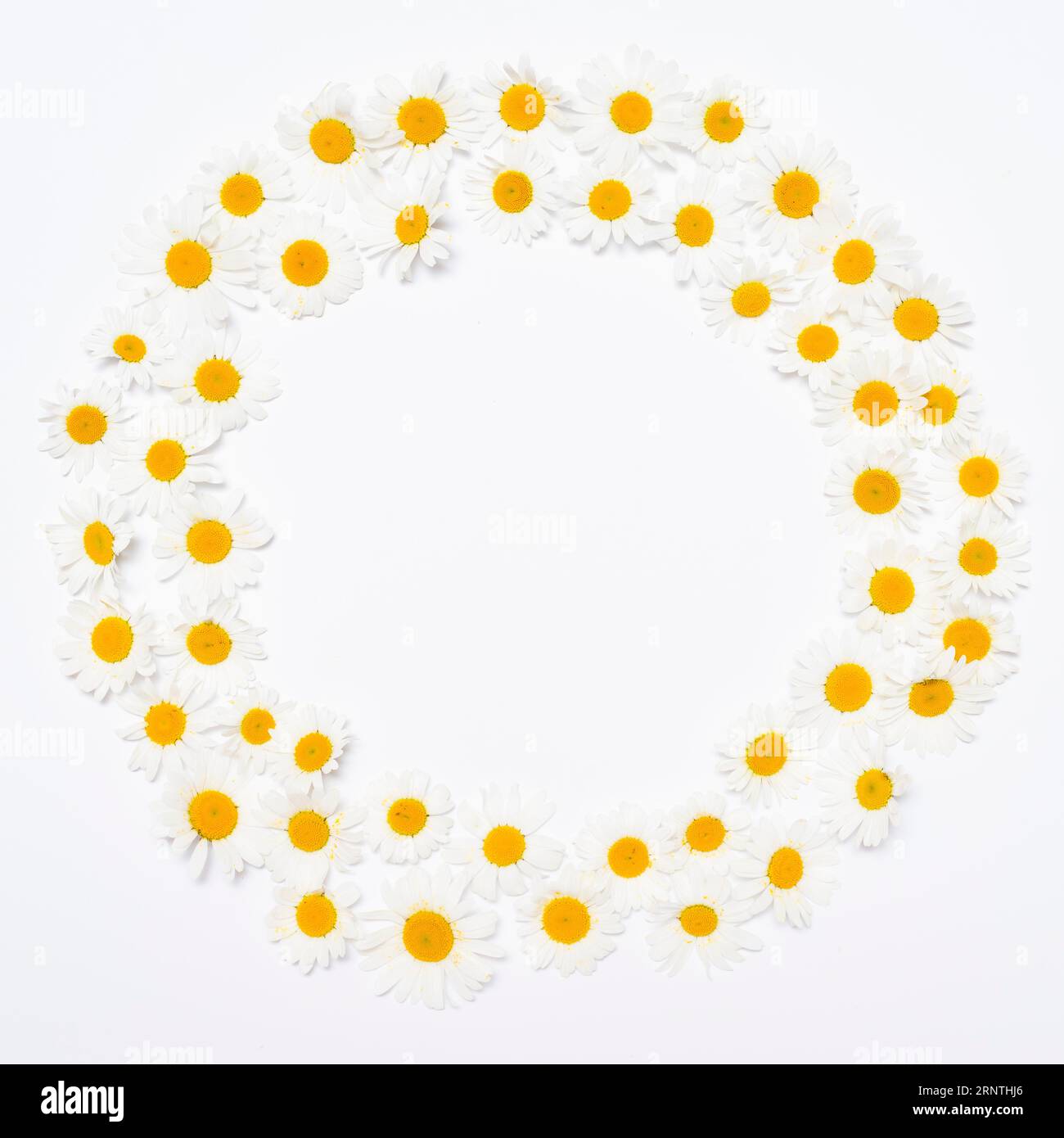 Wide flower wreath Stock Photo - Alamy