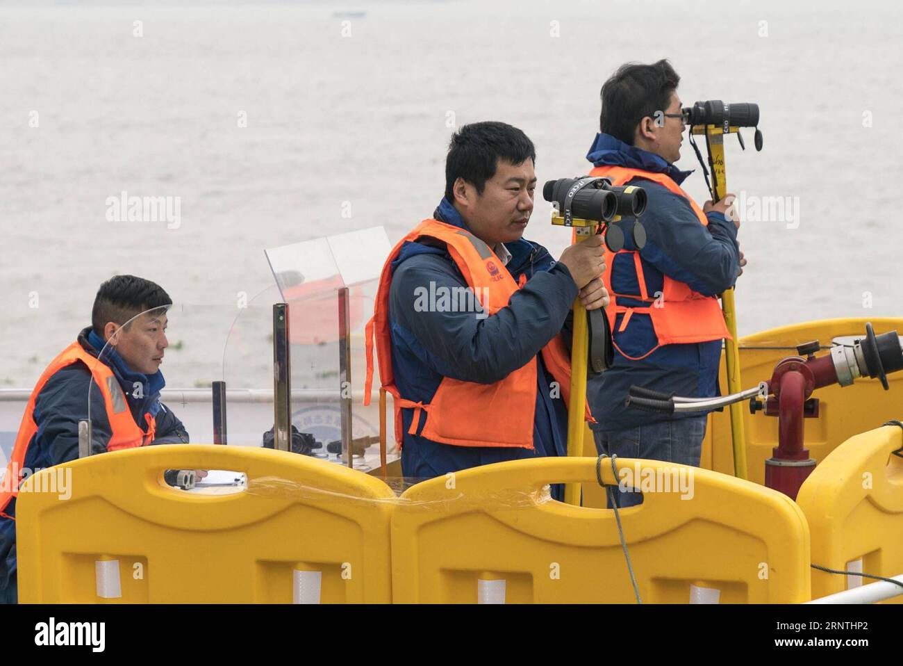 (171110) -- WUHAN, Nov. 10, 2017 -- Researchers observe finless ...