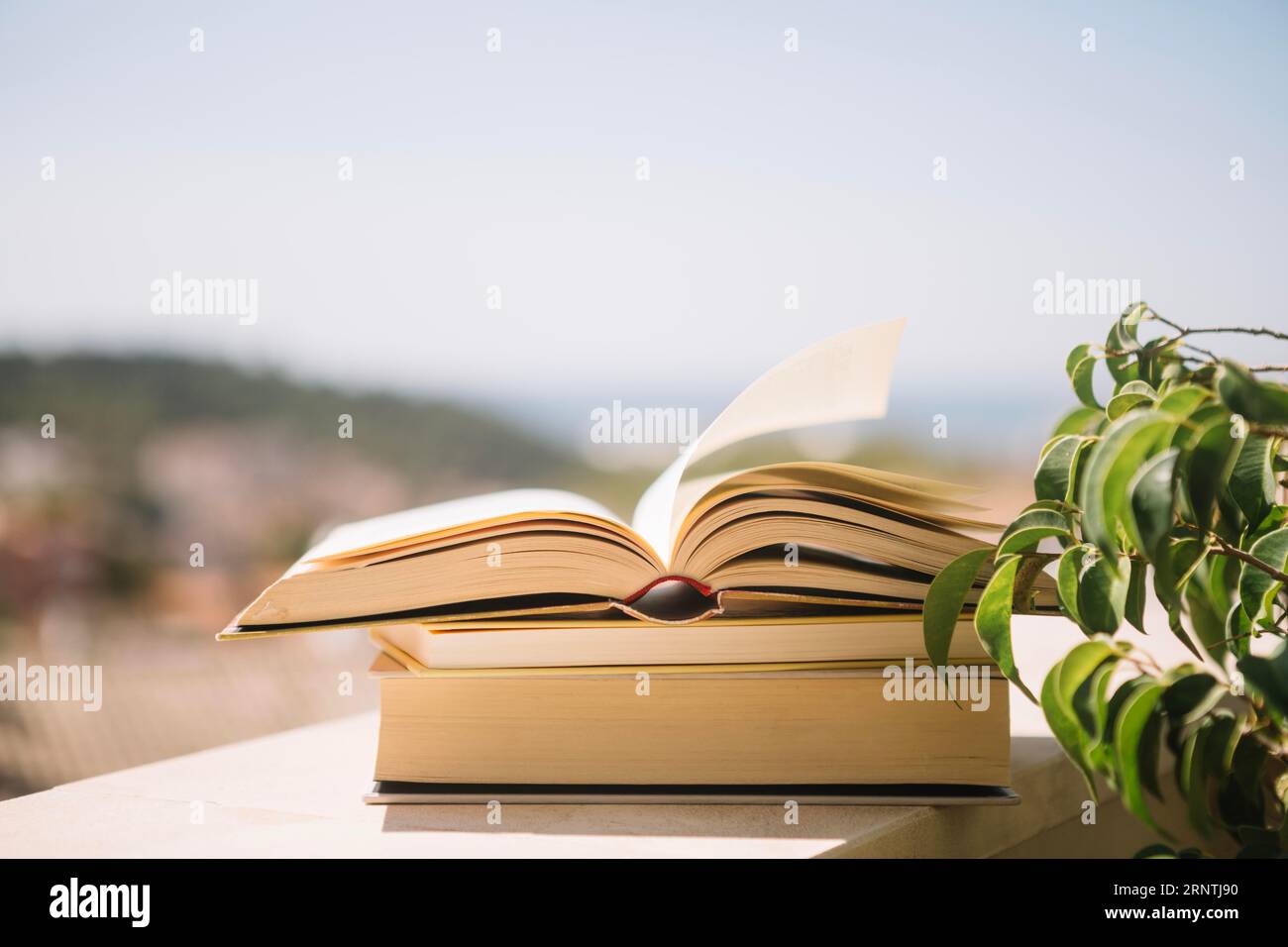 Ledge arrangement hi-res stock photography and images - Alamy