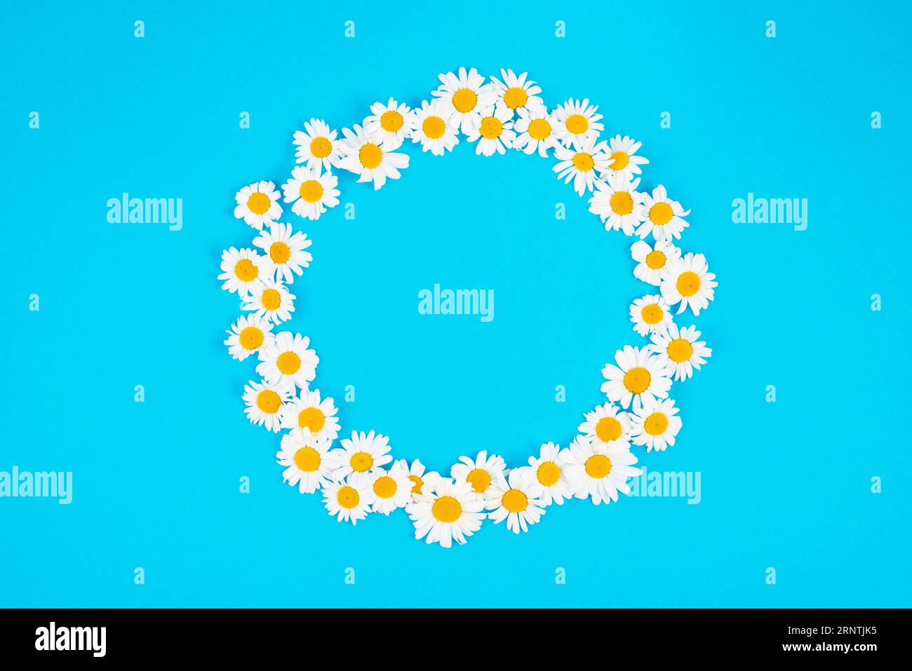 Daisy circle graphic hi-res stock photography and images - Alamy