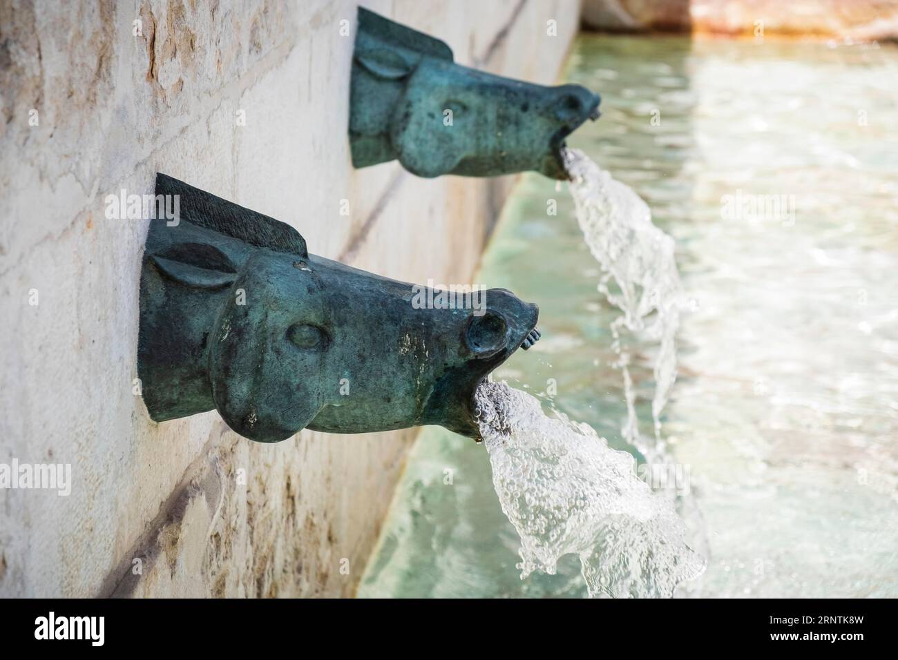Water gushes from horse heads in an old fountain in Lisbon's Old Town ...