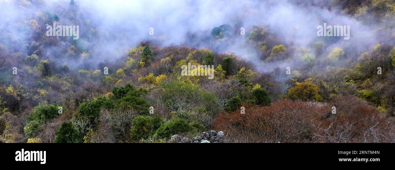 Zhangxhao hi-res stock photography and images - Alamy