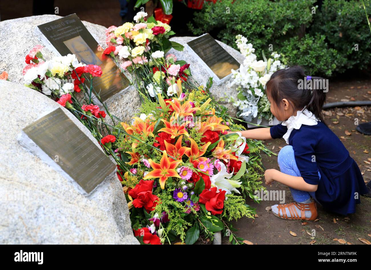 Robert wilson memorial hi-res stock photography and images - Alamy