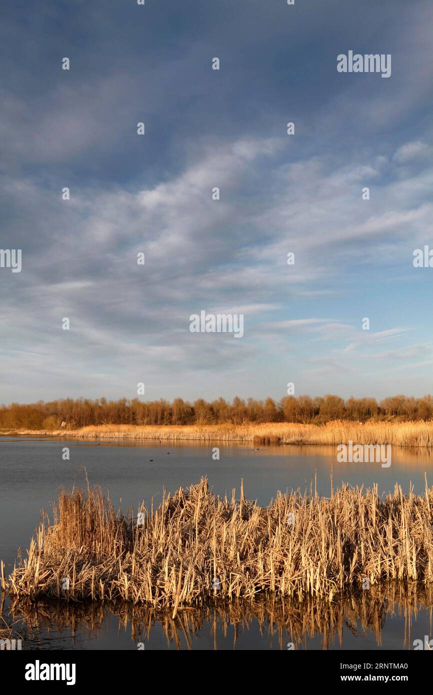 Seeland germany hi-res stock photography and images - Alamy