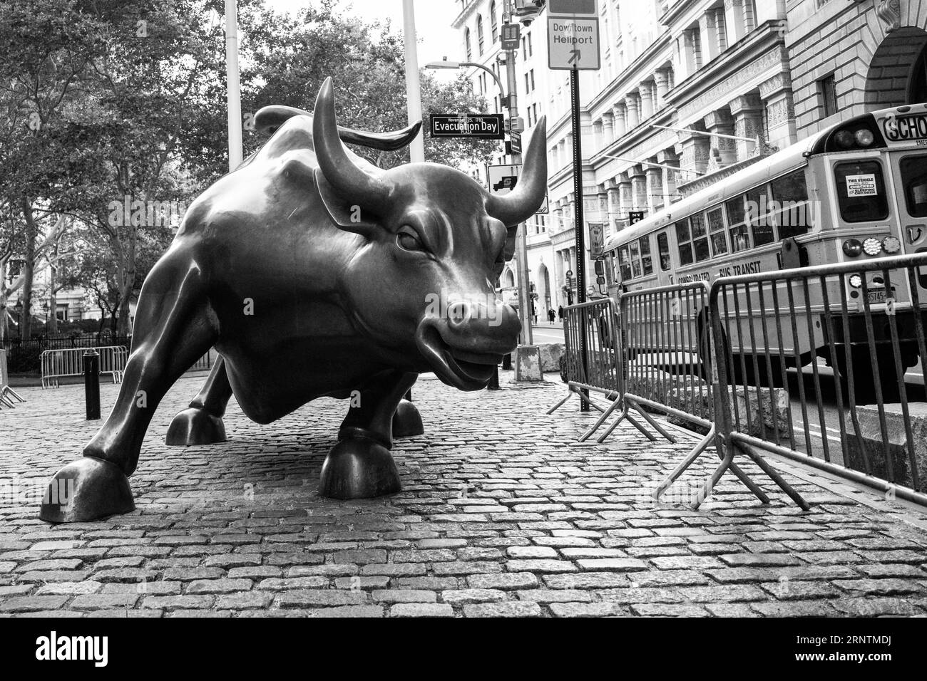 New York, New York, USA. 1st Sep, 2023. The Charging Bull Statue at Bowling Green, designed by ...