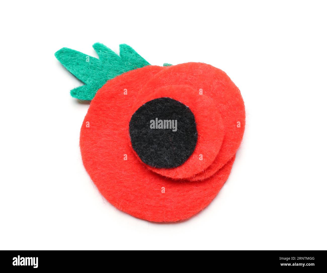 Red poppy flower isolated on white background. Remembrance Day in ...