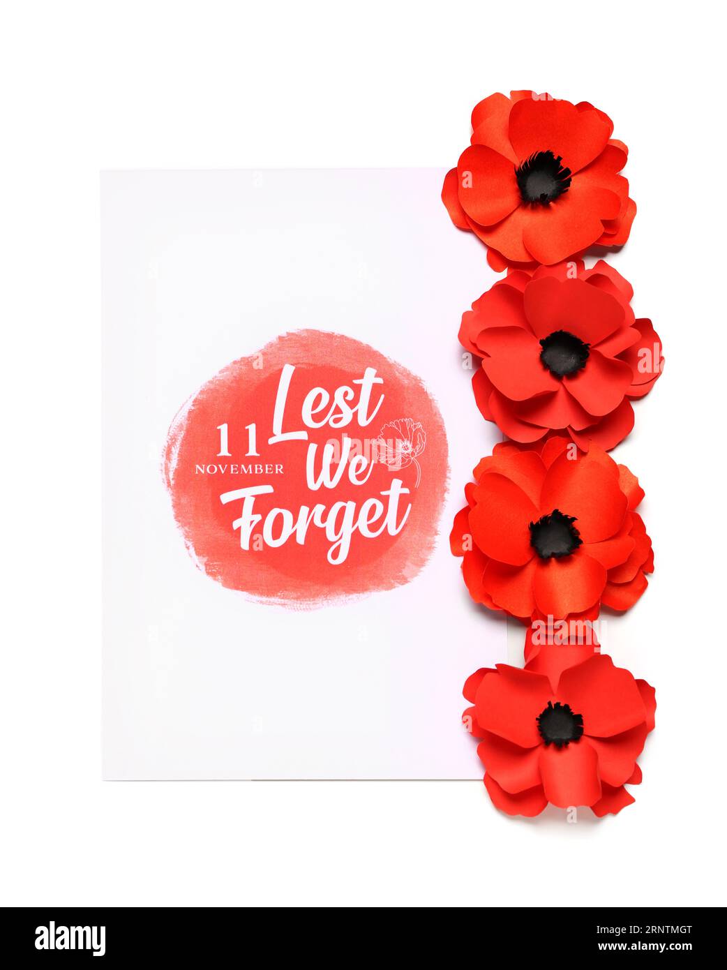 Red poppy flowers with card isolated on white background. Remembrance ...