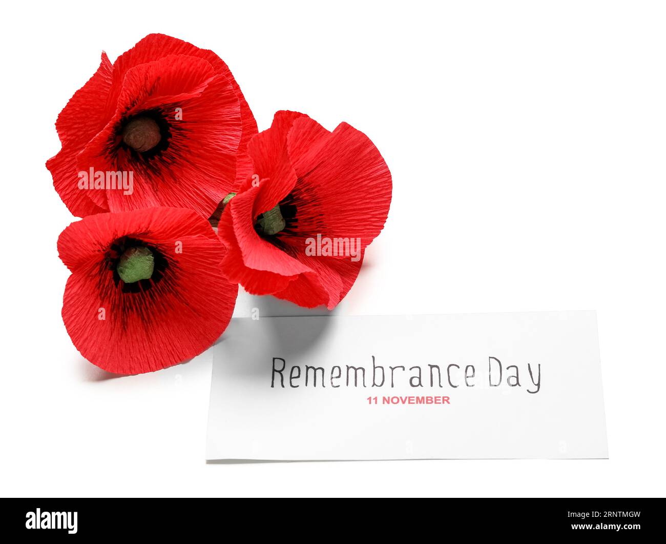 Red poppy flowers with card isolated on white background. Remembrance ...