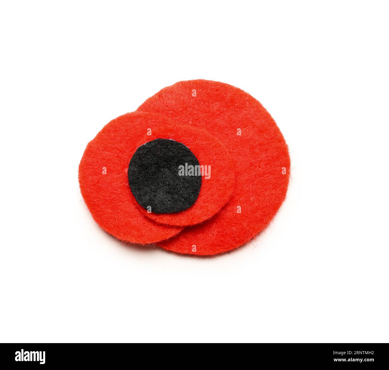 Red poppy flower isolated on white background. Remembrance Day in ...