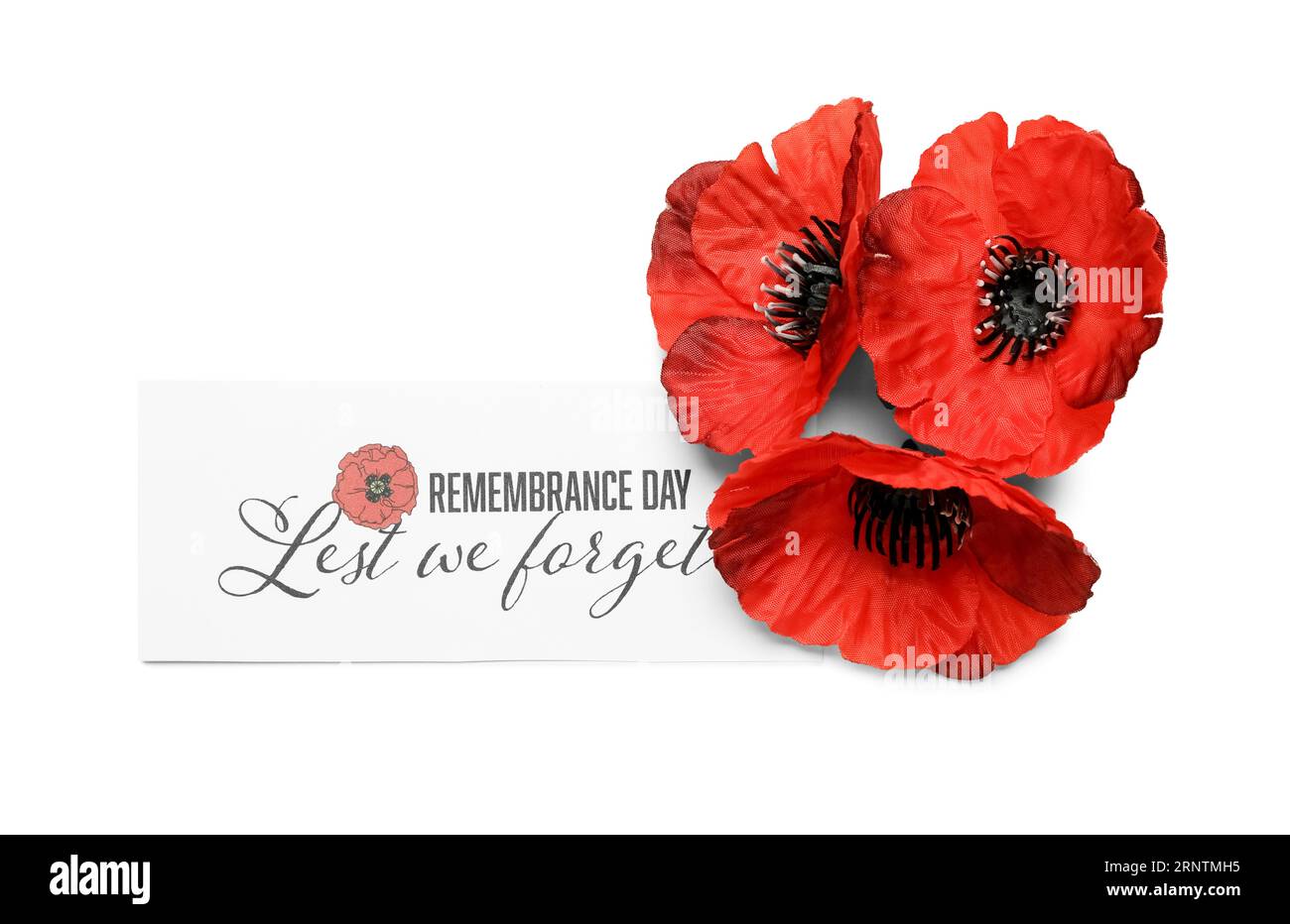 Red poppy flowers with card isolated on white background. Remembrance ...