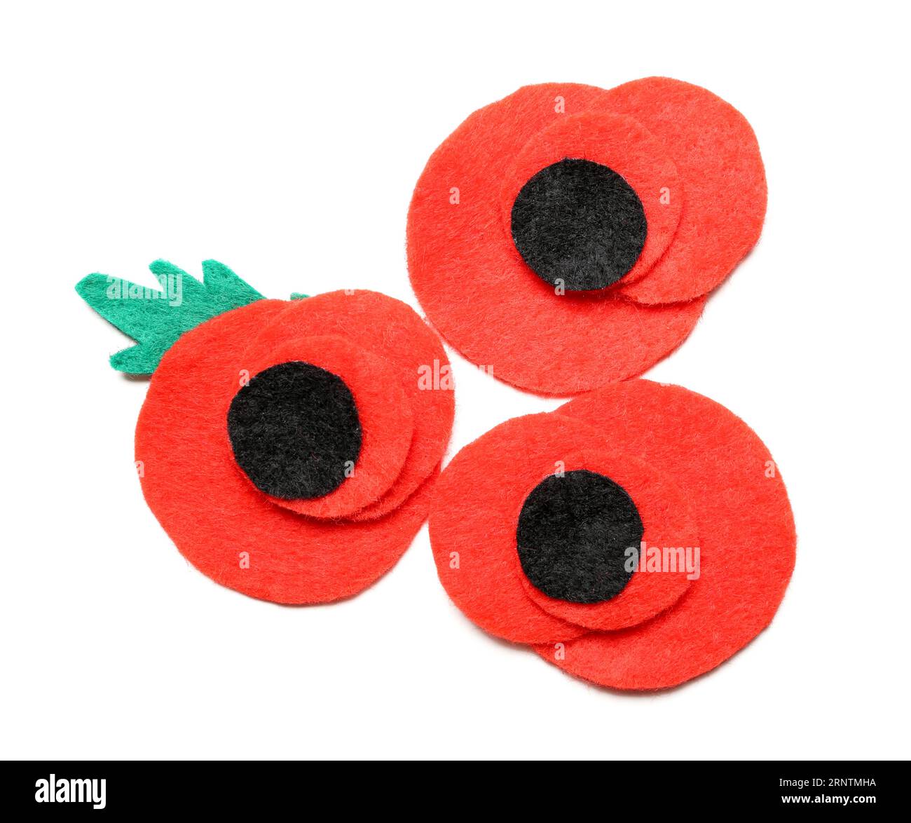 Red poppy flowers isolated on white background. Remembrance Day in ...