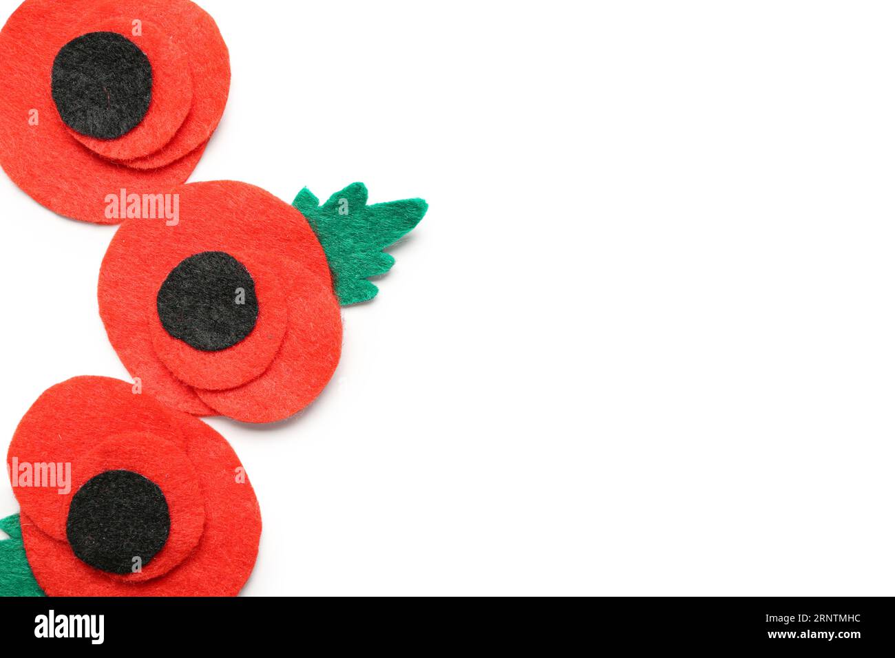 Red poppy flowers isolated on white background. Remembrance Day in ...